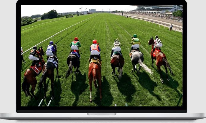 Horse Racing Handicapping Software